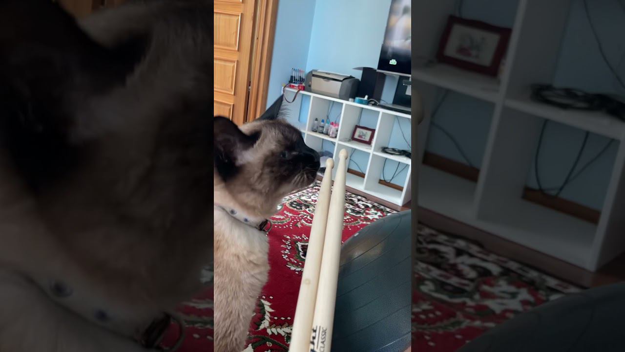 20210721 Сёма барабанщик