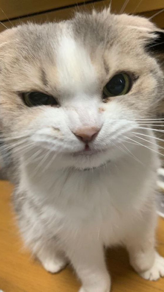 #Фонк#бмв#эдит