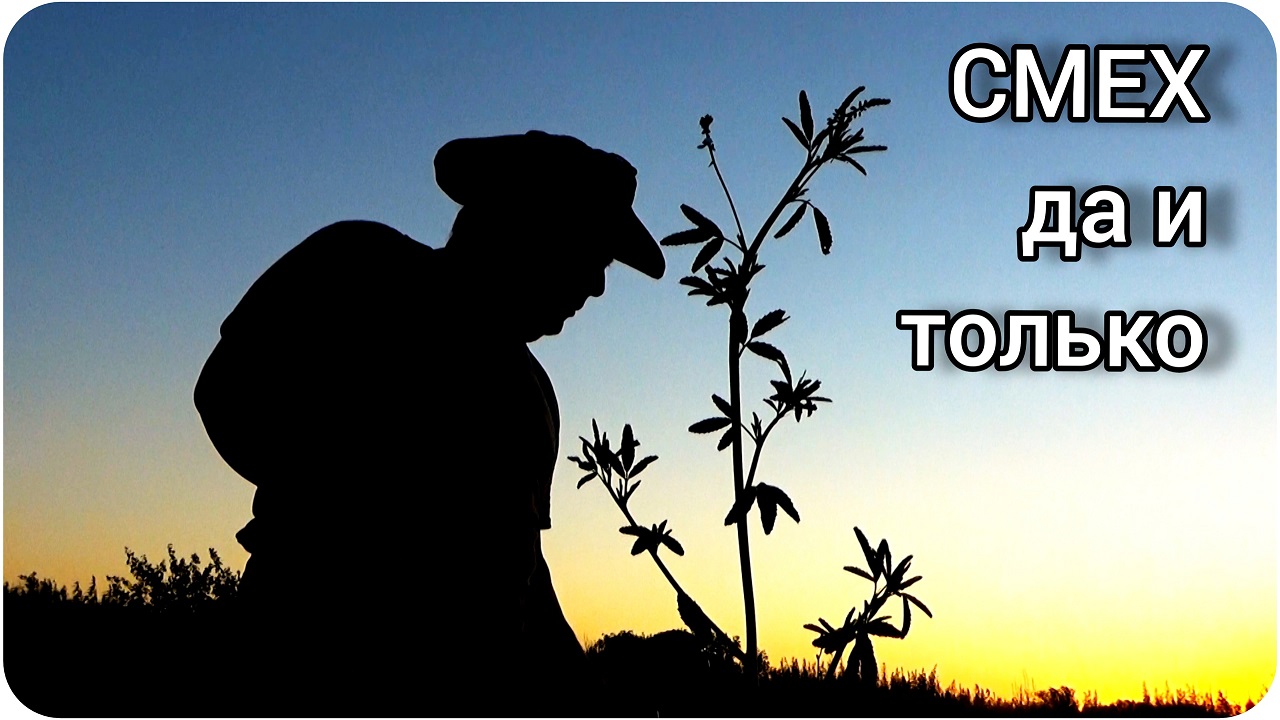 Смешной КОП! Отдыхаем от огорода, копаем на пляже. Находки обхохочешься!