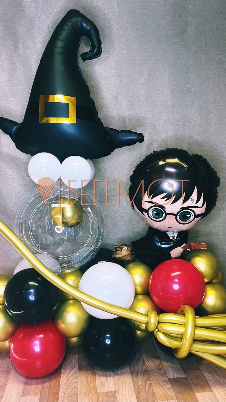 Инсталляция из воздушных шаров Гарри Поттер (перезалив)