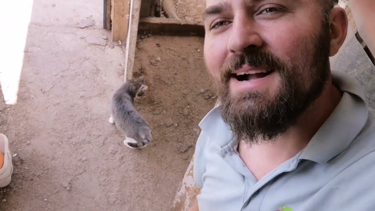 Я ослик огородник и черноплодная рябина меня достала