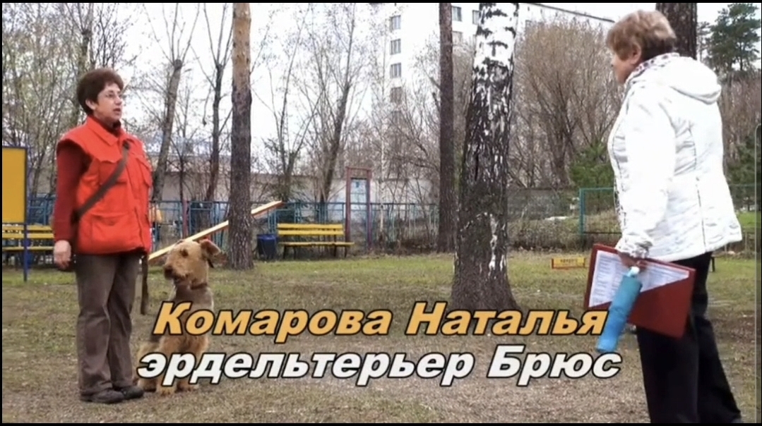 Брюс эрдельтерьер.