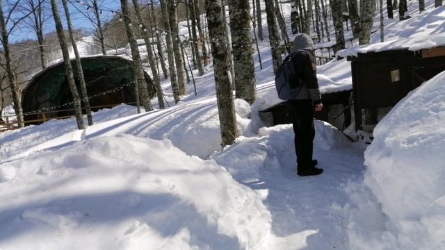 Красная Поляна в Сочи. Парк развлечений. Ферма СЕВЕРНЫХ ОЛЕНЕЙ