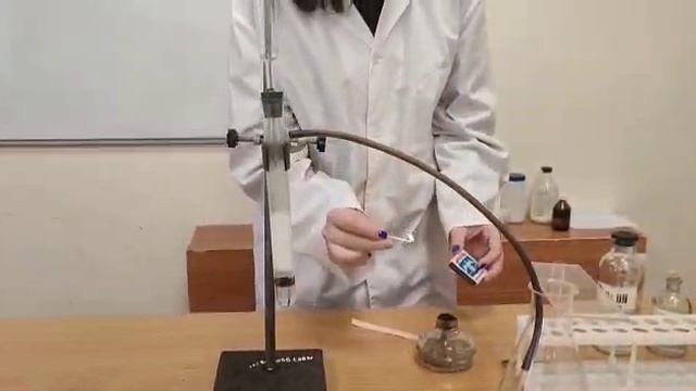 Никулина Елизавета_8_Истра.mp4