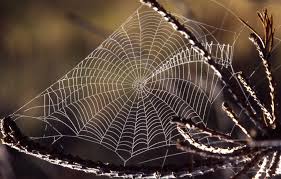 СИЛЬНАЯ ЧИСТКА  ПАУТИНА  ДЛЯ ВСЕХ  ИНГА ХОСРОЕВА.mp4