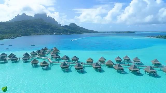 Музыка лечит сердце и сосуды