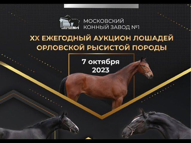 ХХ Ежегодный аукцион лошадей Орловской Российской породы