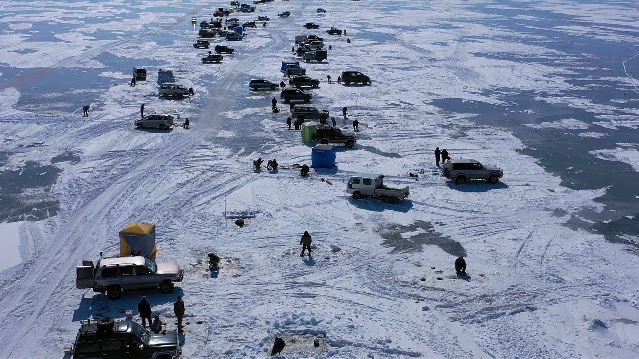 Скоро в Амурском лимане, у мыса Джаорэ #корюшка #рекаамур #хабаровскийкрай