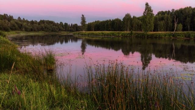 "УСЛЫШЬ МЕНЯ, ХОРОШАЯ!"... (Фото Виталия Смелика (Рыбинск) - Поёт Владимир Нечаев)