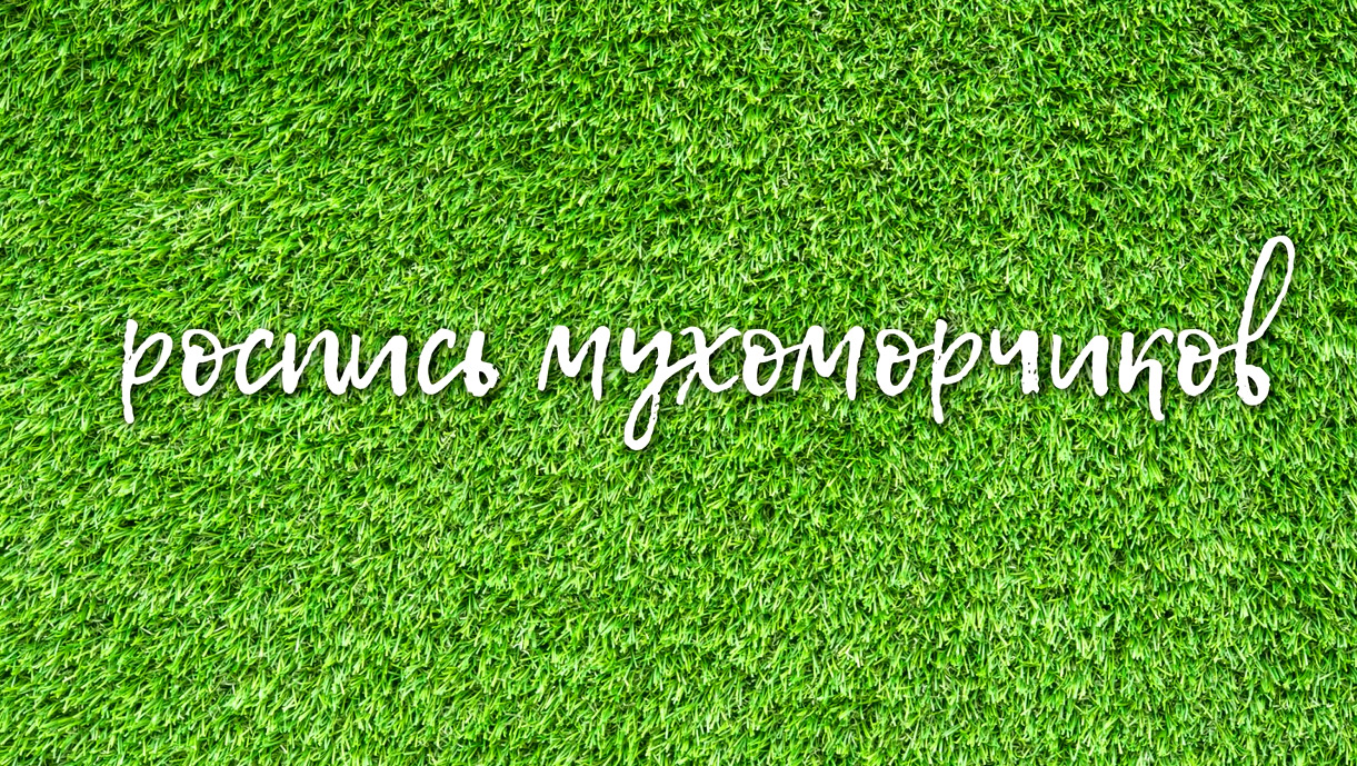 Роспись мухоморчиков.mp4