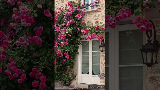 🌺🌞💕 С Днём рождения, доченька!