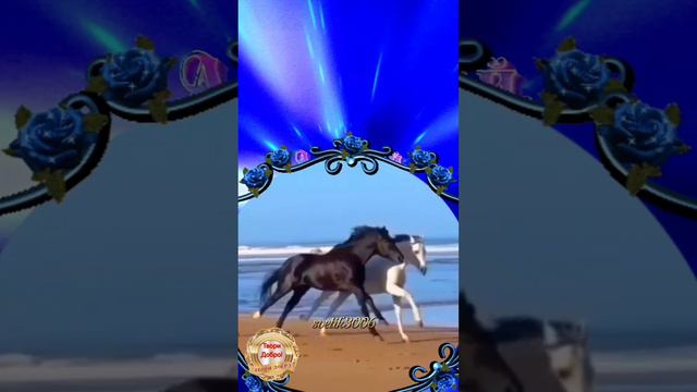 Я с тобою даже по ВСТРЕЧНОЙ... Цитаты со смыслом.