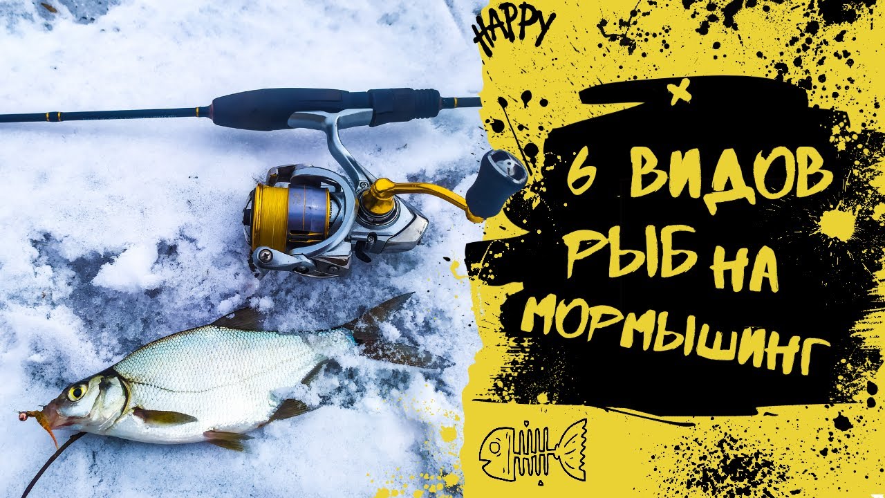 Мормышинг в экстримальных условиях I Поймал 6 видов рыб