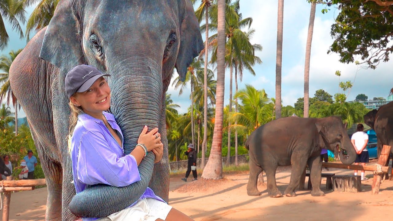 Что посмотреть на Пхукете: Слоны, кафе, достопримечательности. Таиланд