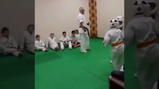 Бойцами не рождаются - становятся!