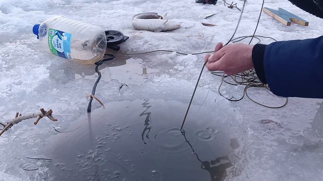 Проверка перемета.Закрыл сезон.