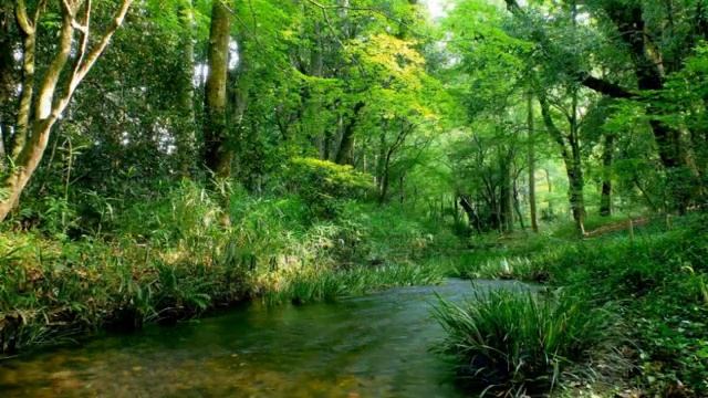 Лицедеи Астрального мира. Об умении астральных сущностей разыгрывать настоящие представления.