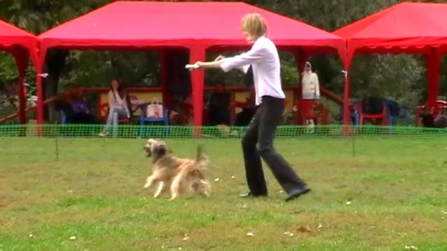 Ильина Полина и HARDYHEART Фристайл Прогресс 1 место