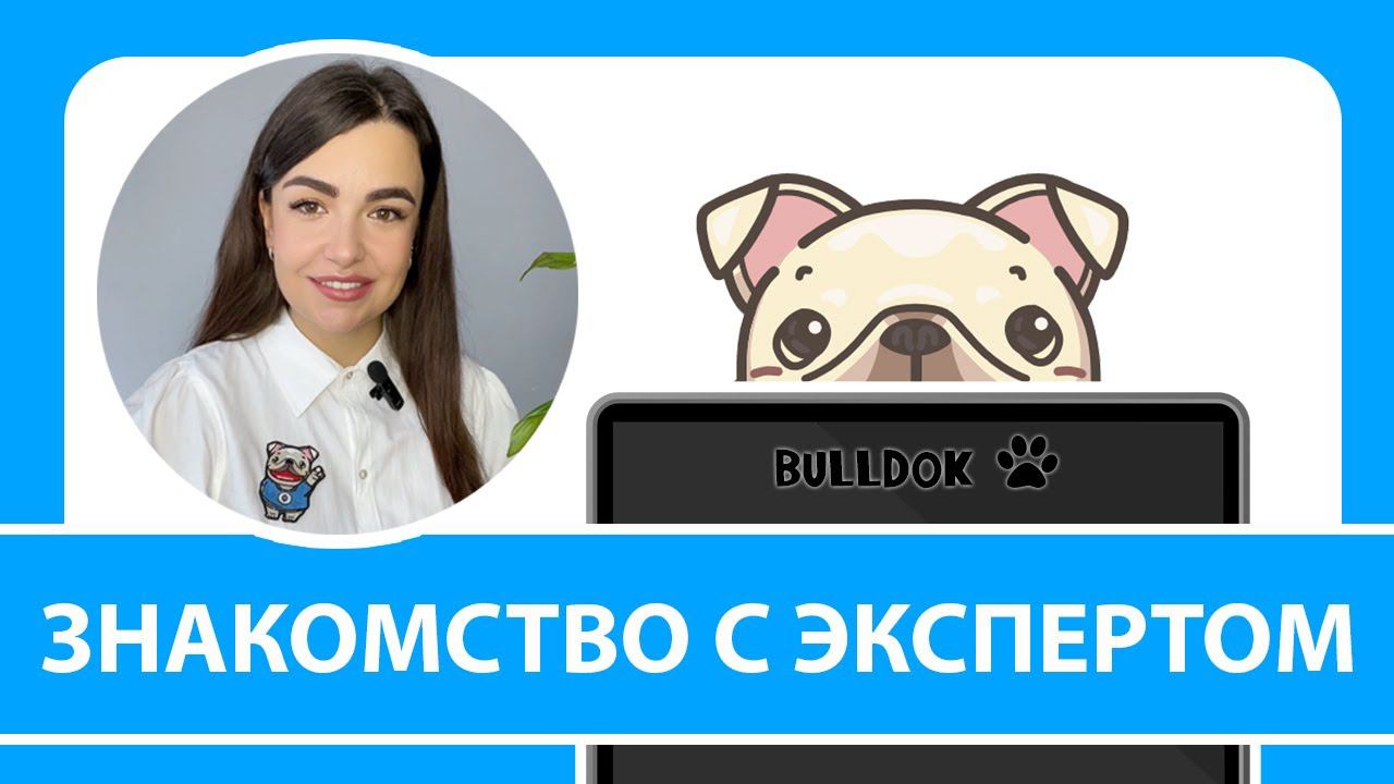 Знакомство с экспертом программы для логистики BULLDOK