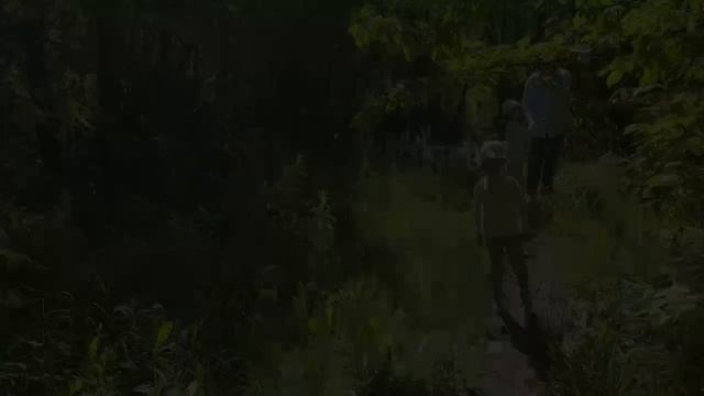 Безопасность на природе