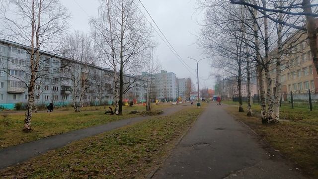 Архангельск, прогулка от пр Московский к трк Макси