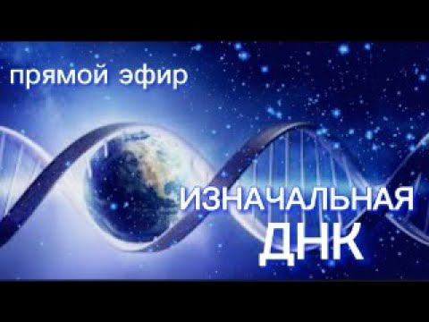 ИЗНАЧАЛЬНАЯ ДНК. Ссылка на полную версию в описании.