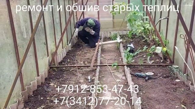 СНТ ' Геолог 1 ' Обшив и ремонт старых теплиц в г. Ижевске +7912-853-47-43 или +7(3412)77-20-14