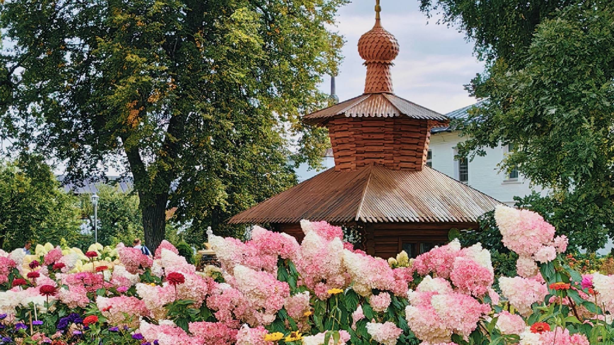 Толга после бала