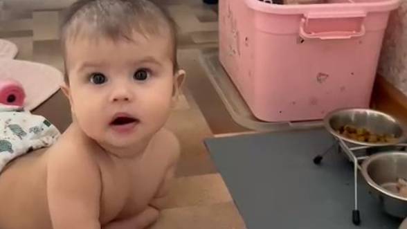 Операция кошачий корм. Странно чем их так вкусно кормят