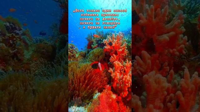 Мудрые мысли великих. Аристотель.