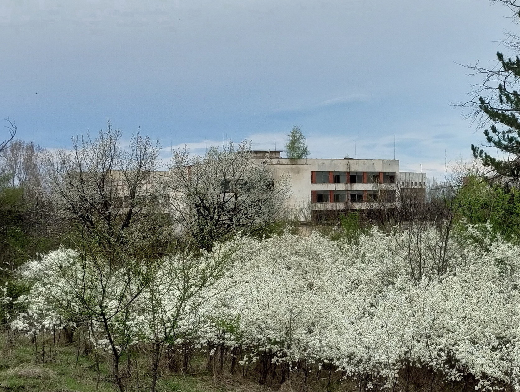 ИЗ ПЛЕВЕНСКА ОБЛАСТ /част 35/ Левски - Пордим