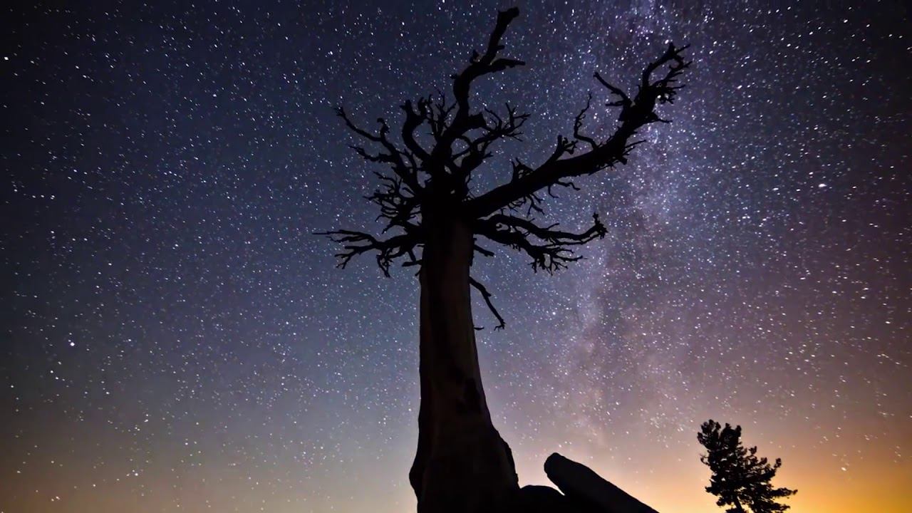 СОБИРАЛИСЬ СПОЗАРАНКУ