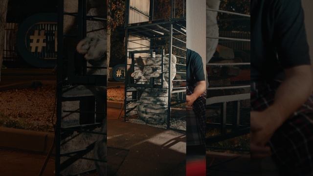 Ваня, спасай! 44 серия