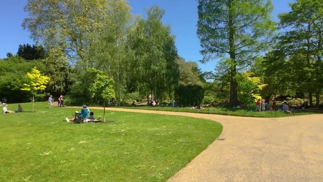 Лондон. Риджентс-канал. Японский сад, 2019 // London. Regent’s Park. Japanese Garden in Holland Park