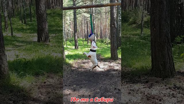 Как мы тренировали хват, год спустя!