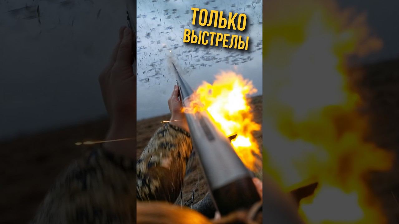 ОХОТА НА УТКУ - ТОЛЬКО ВЫСТРЕЛЫ #охотарыбалка #охота #охотанауток #выстрелы #охотавроссии