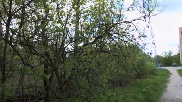 Топонимы. Ликино 16+