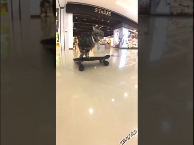 v torgovyy centr za pokupkami