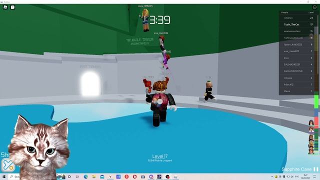 Отвечаю на вопросы!(даже если вы их не писали!)Roblox Murder Mystery 2,Tower of Hell