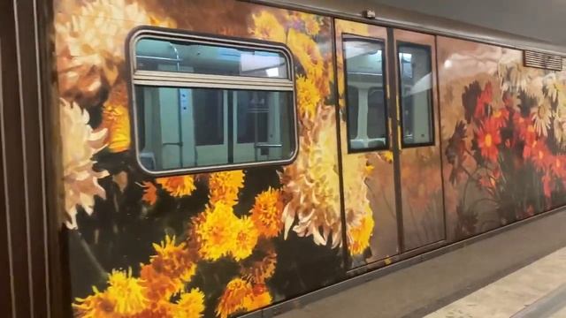 Москва. Красивый поезд в метро