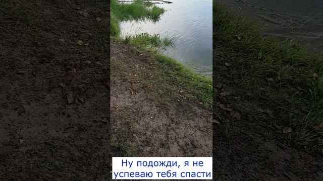 Спасение неутопающего