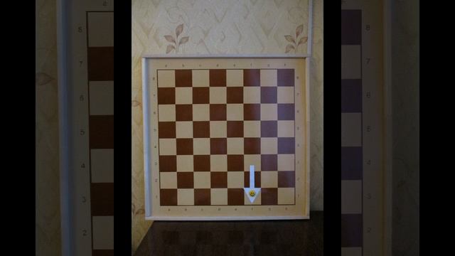 Урок 9. Шахматная нотация (примеры)