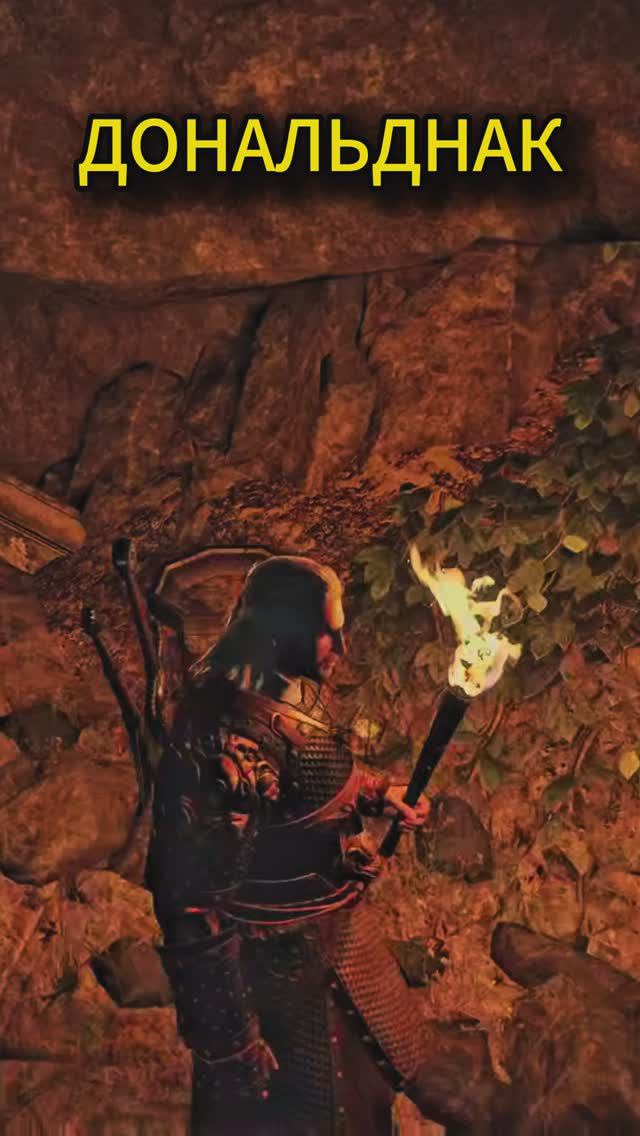 Ведьмак 3 ДОНАЛЬДНАК