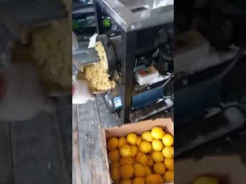 Промышленная мясорубка измельчитель модель 42 - перемалывает лимоны целиком
