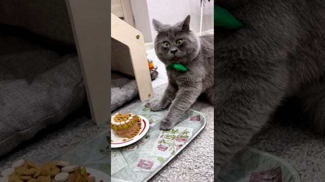 Не поверите! Но я сам обалдел от такой наглости! Только бы не всё слопала....