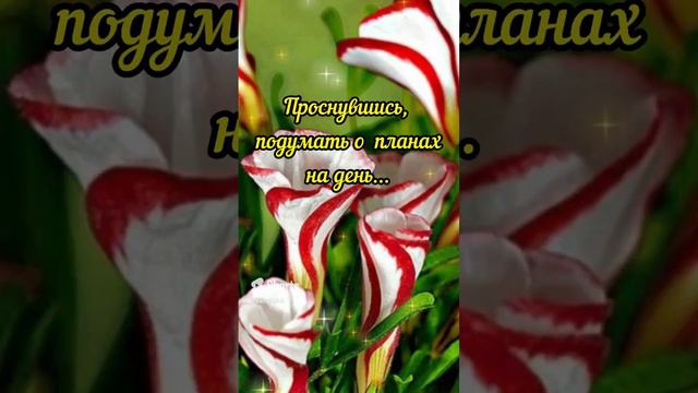 Удачного дня! С пятницей! #shorts