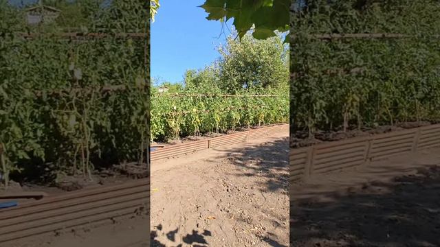 ПРОДАНО Дача - мечта садовода-огородника!
с. Вислое (на авто по асфальту либо на электричке)