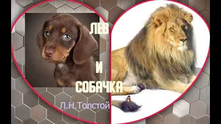 Лев и Собачка. рассказ для детей и взрослых. Л.Толстой