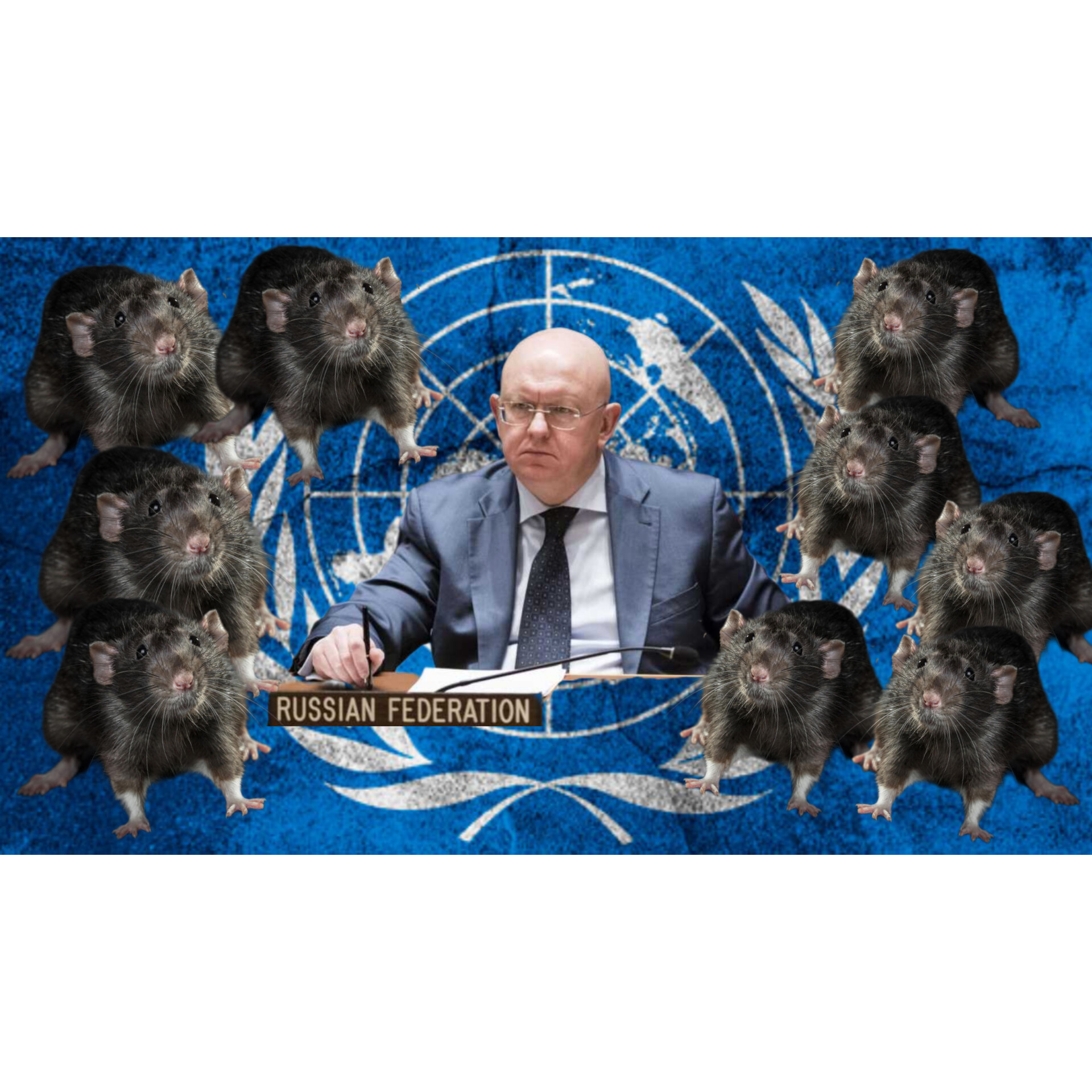 В Генассамблее ООН 23-24 февраля: Заседания посвящены годовщине начала СВО (рус. перевод, тайминг)