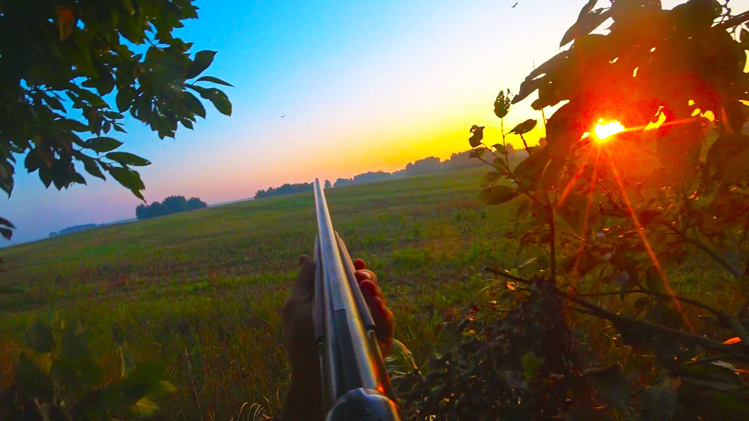 Открытие охоты на ВЯХИРЯ. Год 2023